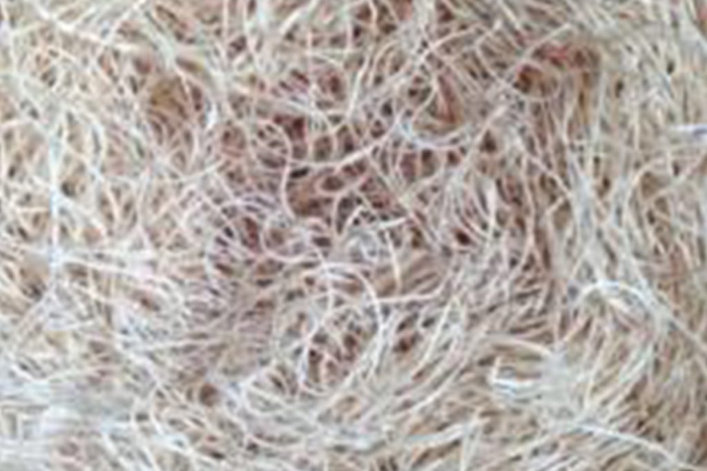 Biomat | Full Service